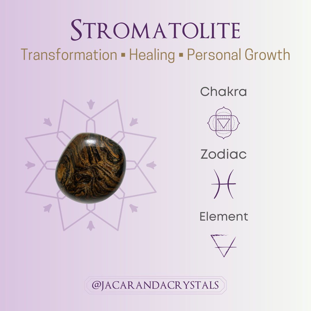 Stone Meaning - Stromatolite – Jacaranda Crystals